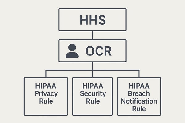 Who Enforces HIPAA? Learn the Key Agencies Now